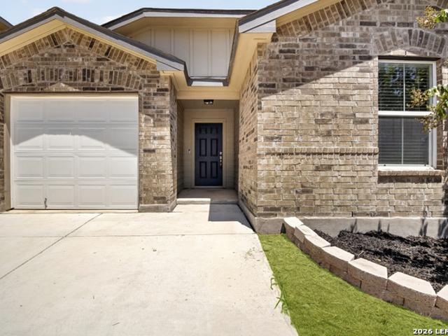 15335 Shortwing