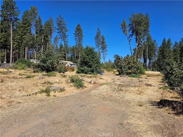 1533 Forest Service Rd, Paradise, CA 95969 | MLS #SN25181