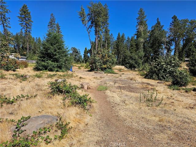 1533 Forest Service Rd