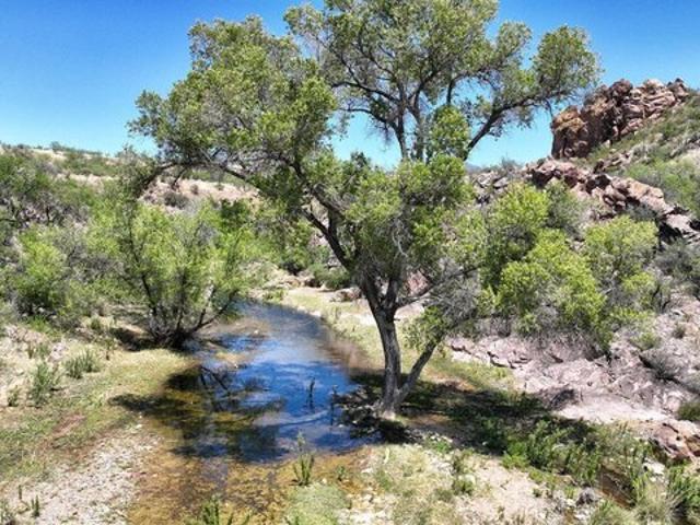 153 Circulo Sabino Unit 153, Tubac, AZ 85646