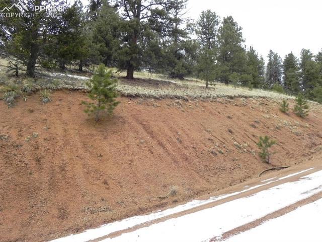 153 Idlewood, Cripple Creek, CO 80813 | MLS #7632
