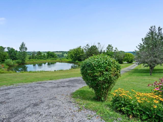 153 Snyder Brothers Road