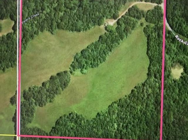153 Rock Creek Rd, Cave In Rock, IL 62919