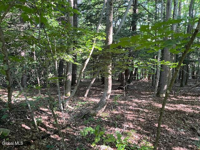 153 Richmond Heights