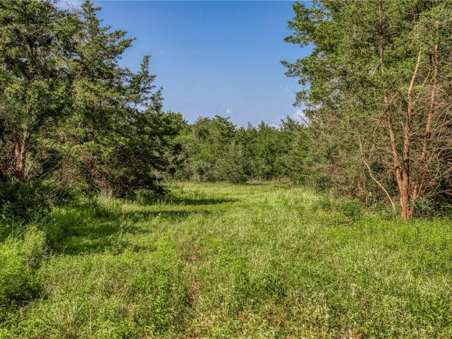 1544 Bluebonnet Ridge Drive