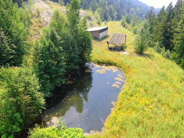 1544 Comstock Mine Rd Lot D, Colville, WA 99114