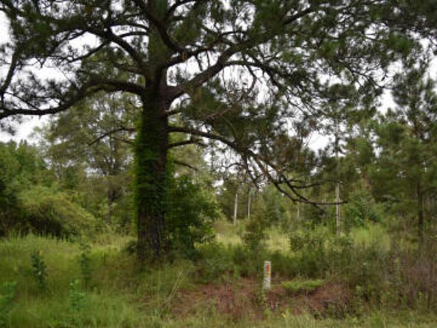1544 Isabella Road