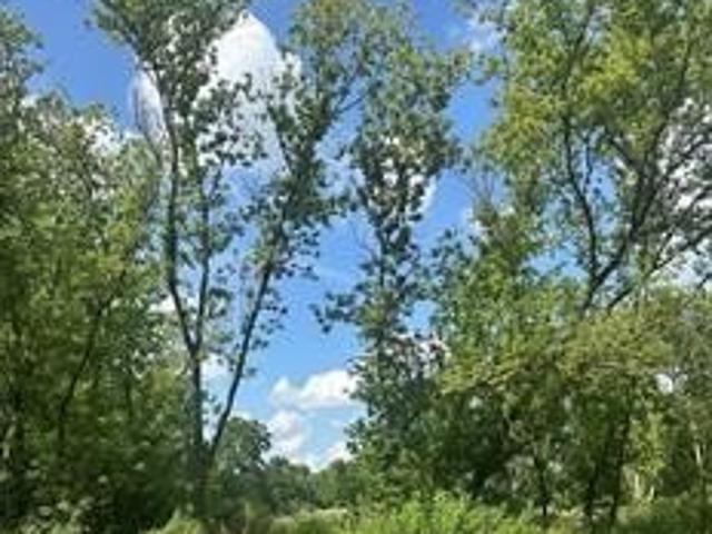 15451 Lakeview Park Dr, Fenton, MI 48423
