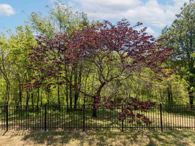 1545 Nathan Ct