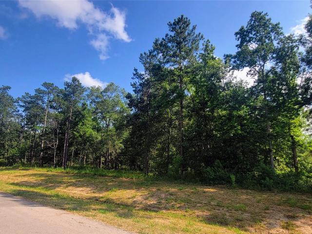 1545 County Road 632, Dayton, TX 77535 | MLS #11886