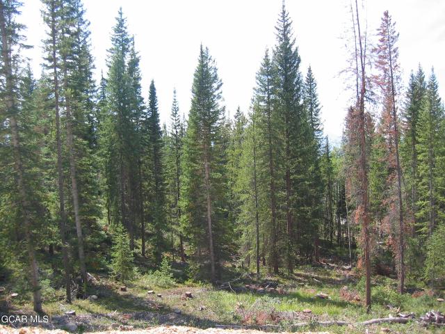 1545 Pioneer Trail, Fraser, CO 80442 | MLS #24 1401