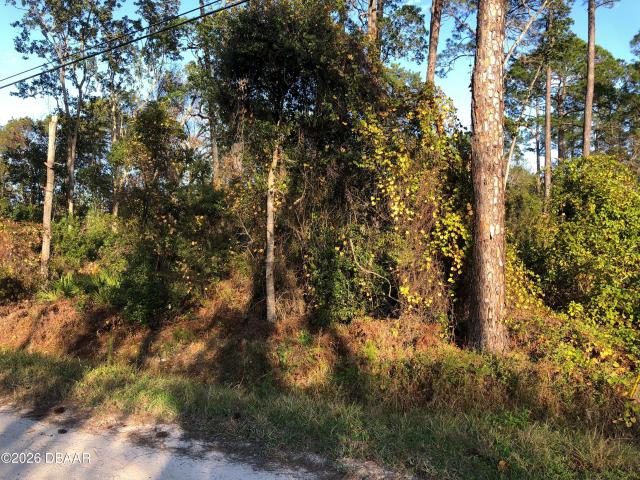 1545 10th Ave, DeLand, FL 32724 | MLS #1221