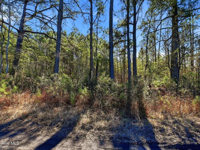 15460 Highway 210, Rocky Point, NC 28457 | MLS #100556