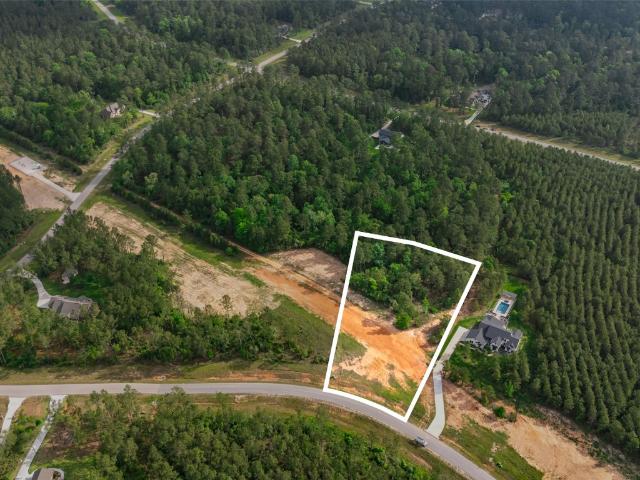 15464 Forest Grove Drive