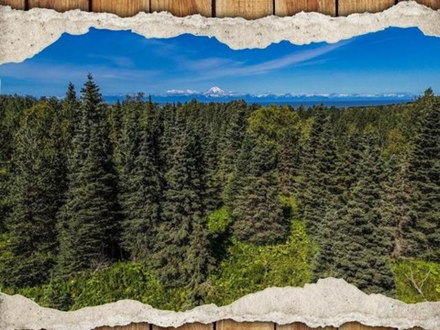 15466 Tovarish Rd, Ninilchik, AK 99639