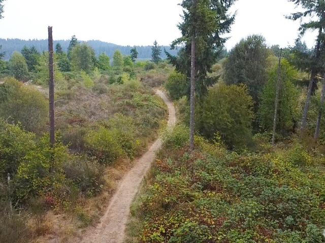 1546 Reservation Rd SE, Unit 253, Olympia, WA 98513 | MLS #2506