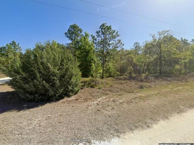 15470 Cave Swallow Rd, Brooksville, FL 34614
