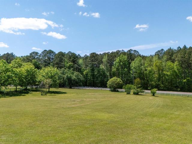 15484 Highway 55