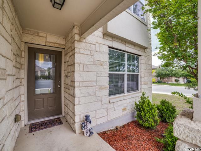 15403 Cooks Petrel