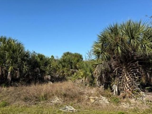 15401 Hennipen Cir, Port Charlotte, FL 33981