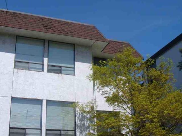 1540 Nw 52Nd St 1 Bedroom Apartment for Rent at 1540 Nw 52nd St, Seattle, WA 98107 Adams