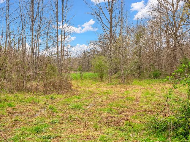 1540 Terrapin Branch Rd