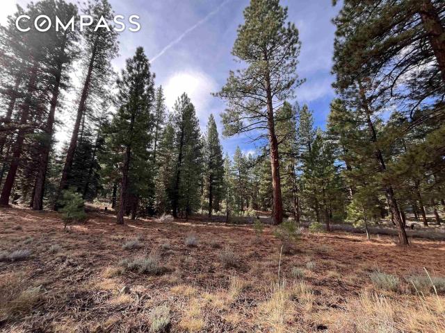 15411 Kent Dr, Truckee, CA