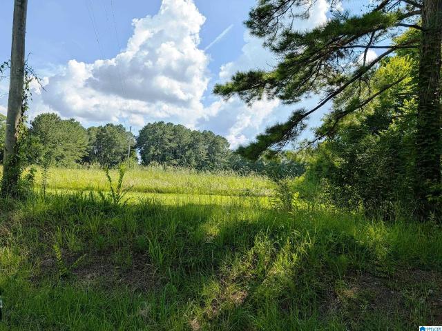 15416 Highway 61 # 5