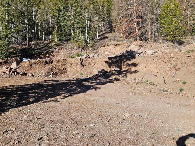 1541 Monte Queen Dr, Lake City, CO 81235 | MLS #819764