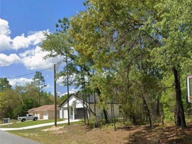 1541 W Elder Ln, Citrus Springs, FL 34434