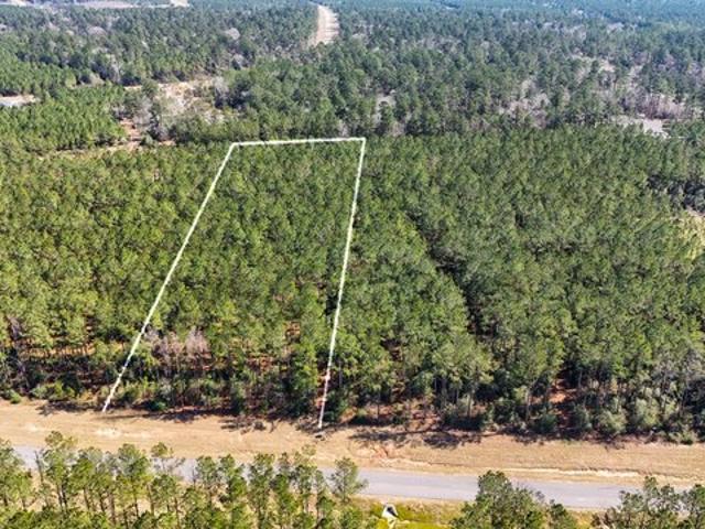 15422 Forest Grove Dr, Willis, TX 77378