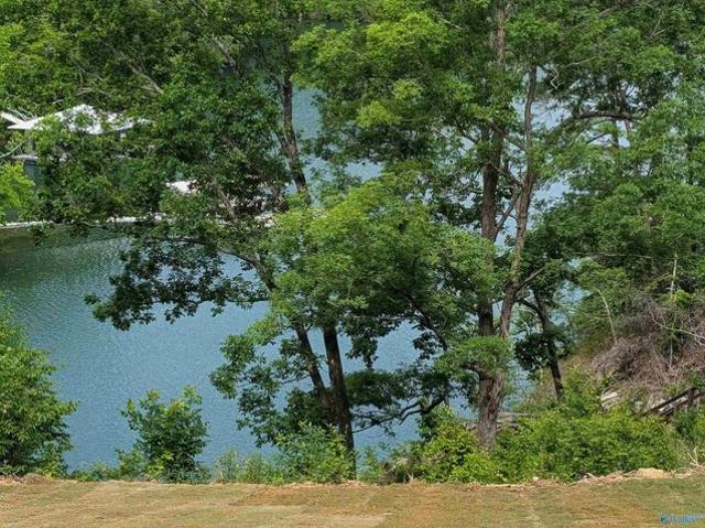 1543 Sipsey Overlook Rd, Double Springs, AL 35553