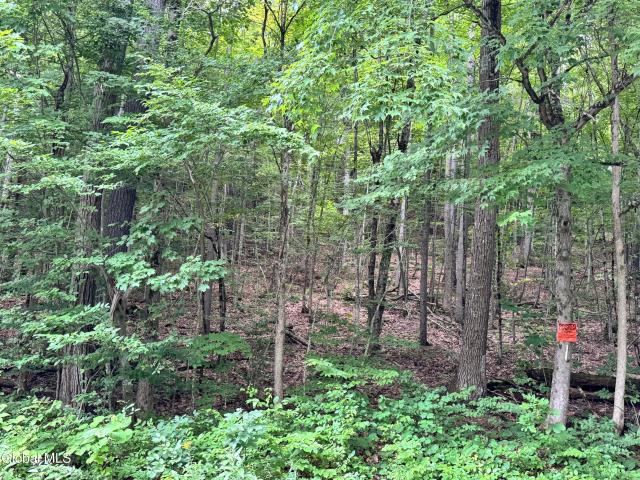 154 County Route 60
