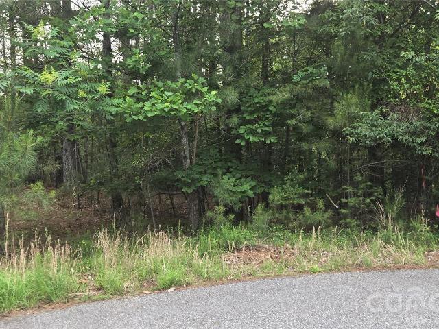154 Oak Point Lane # 3