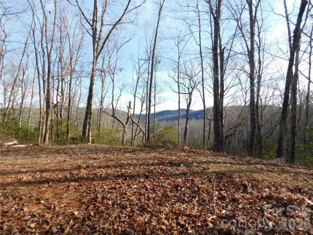 154 Laurel Thicket Drive # 98