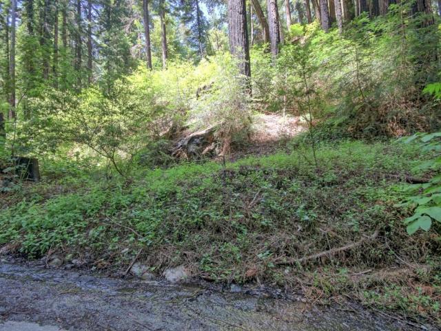 154 Leafwood Drive