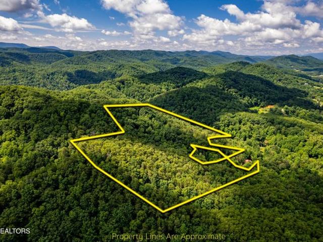 154 Poplar Rd, Tellico Plains, TN 37385