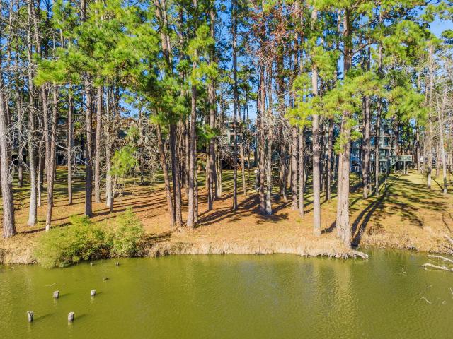 154 Villa Way, Coldspring, TX 77331 | MLS #78748
