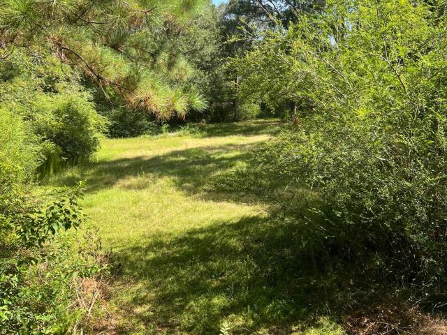15546 Broadus Road