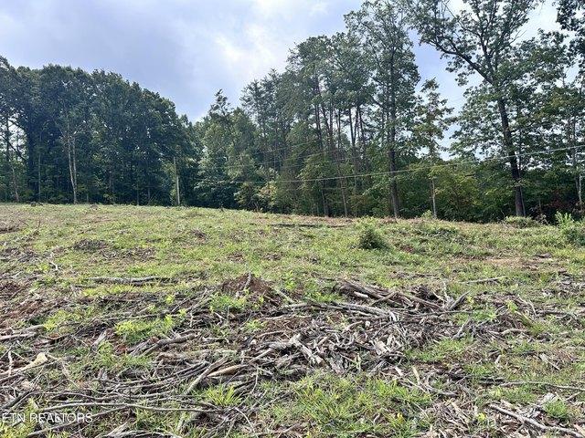 1554 Hall Acres Dr, Knoxville, TN 37918