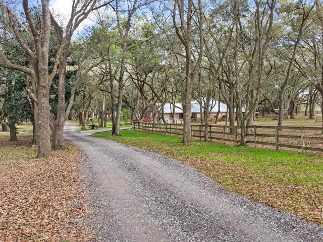 15558 Hidden Oak Trail
