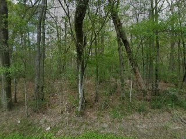1555 Cherokee St, Vidor, TX 77662