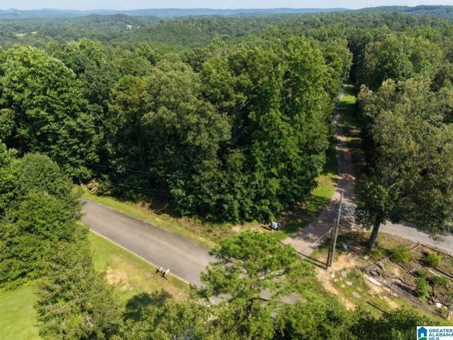 1555 Hagood Mtn Rd Lot 0, Morris, AL 35116