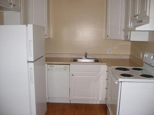 $1555 / 590ft² Studio $1000.00 off first month's rent