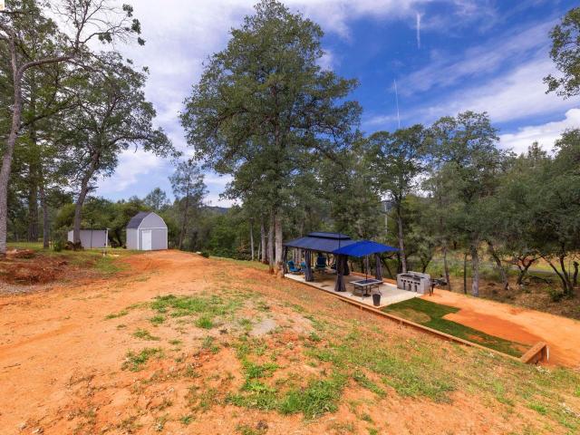 15560 Bear Cub Dr