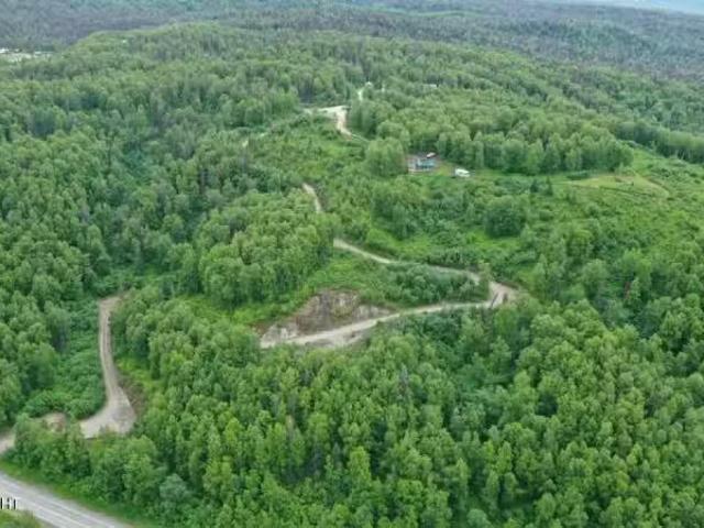 15561 W WILLA'S WAY, WILLOW, AK 99688 Vacant Land For Sale ML.
