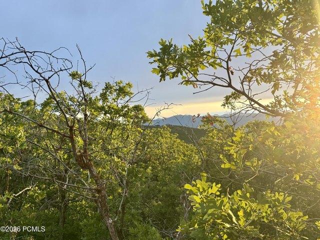1556 S Tree Top Ln Lot 353, Heber City, UT 84032