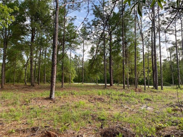 15570 Cliff Swallow Rd, Weeki Wachee, FL 34614 | MLS #TB8510