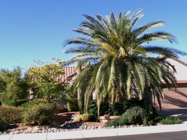 15576 W Coral Pointe Dr, Surprise, AZ 85374