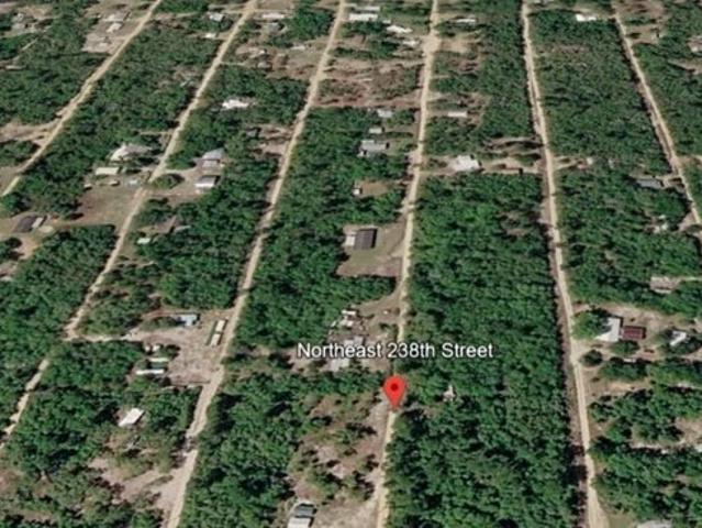 15589 NE 238th St, Fort McCoy, FL 32134